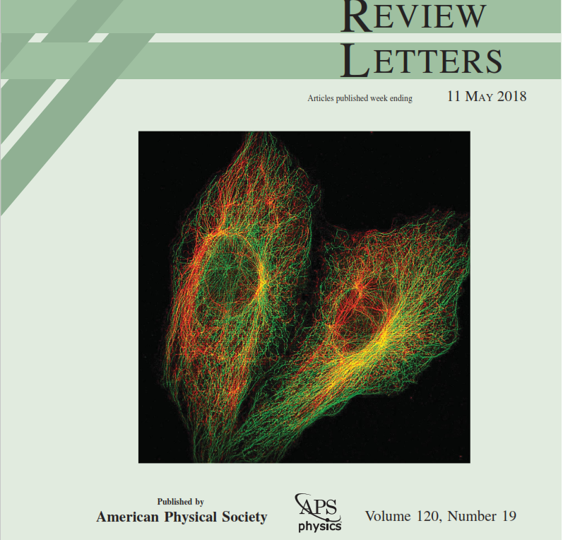 简报：超分辨显微成像取得新进展
